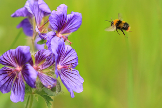 Events | Herefordshire Wildlife Trust