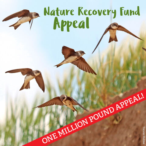 Nature Recovery Fund | Herefordshire Wildlife Trust