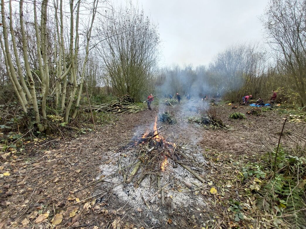 Upper Swingley Wood | Herefordshire Wildlife Trust