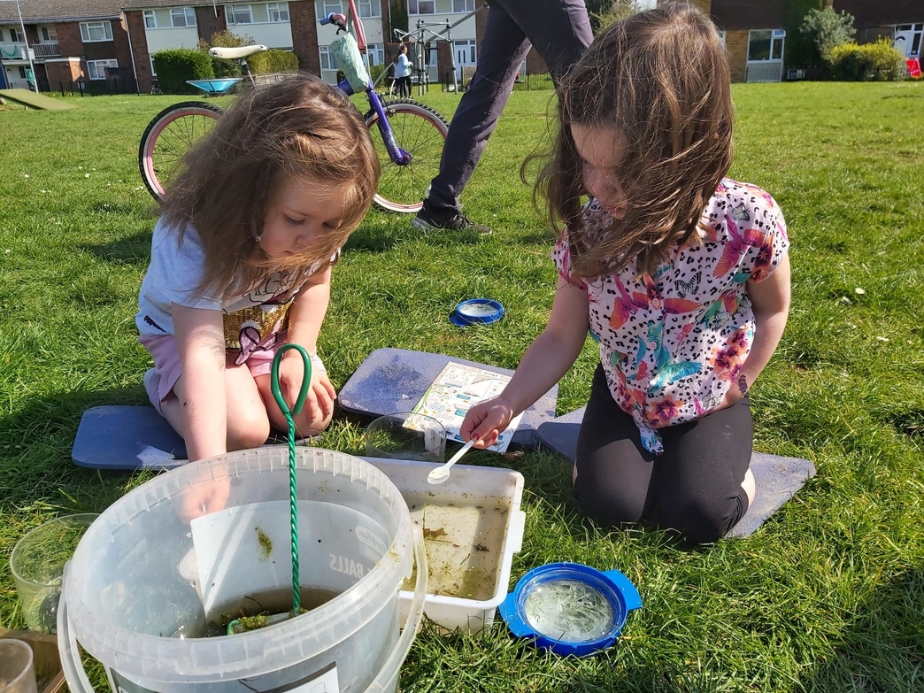 Pond Dippping | Herefordshire Wildlife Trust