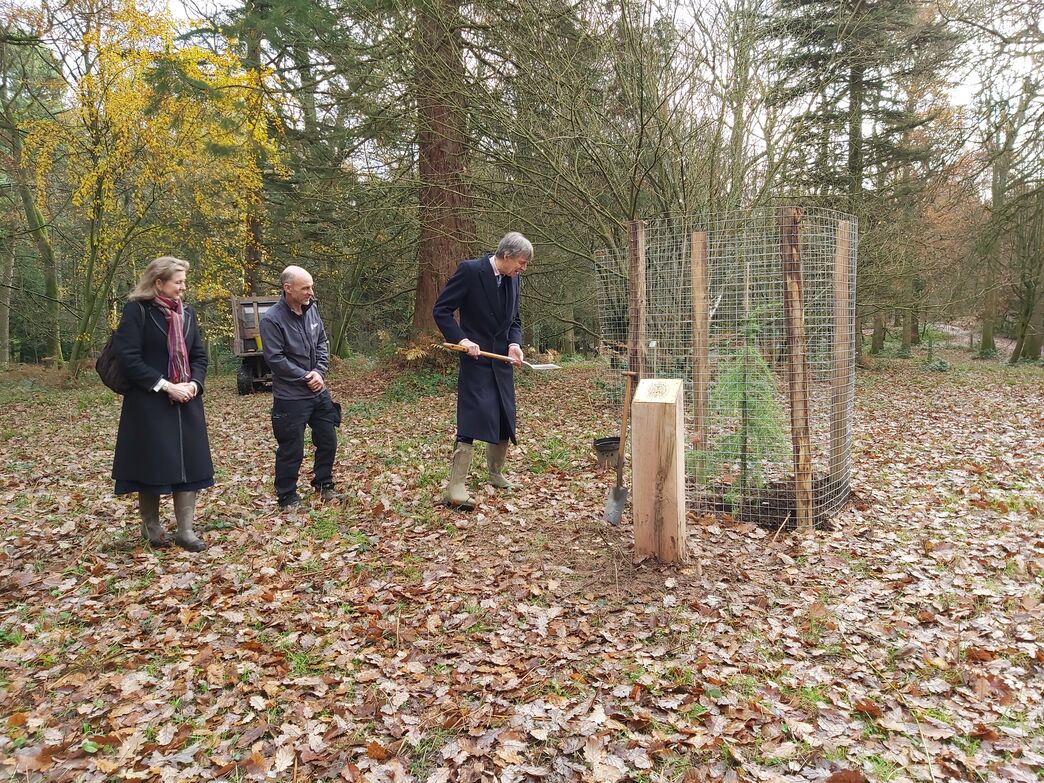 Herefordshire’s King's Coronation Tree planted at Queenswood Arboretum ...