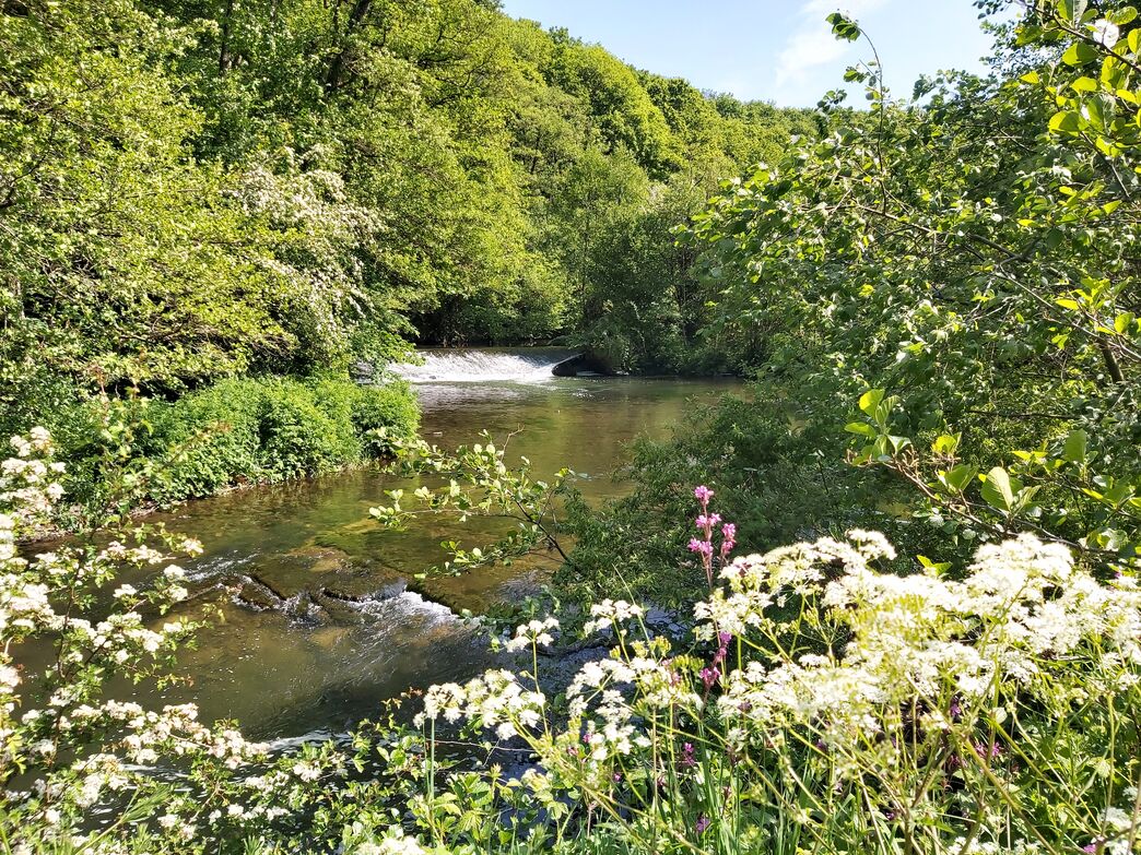 Mowley Valley – delivering biodiversity gain and flood alleviation ...