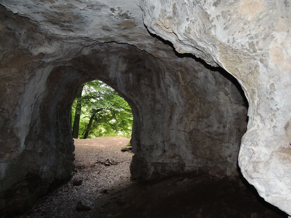 King Arthur's Cave | Herefordshire Wildlife Trust