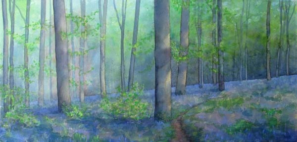 Richard Bavin: Artist-in-Residence | Herefordshire Wildlife Trust