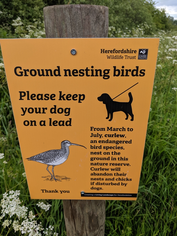 Withdrawing of access rights on Lower Lugg and Hampton Meadow during ...