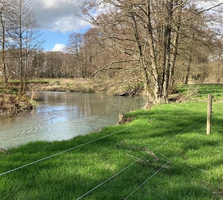 Land owner advice and support | Herefordshire Wildlife Trust